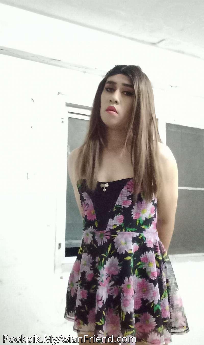 Pookpik's Blog Post For The 4th Of April 2025